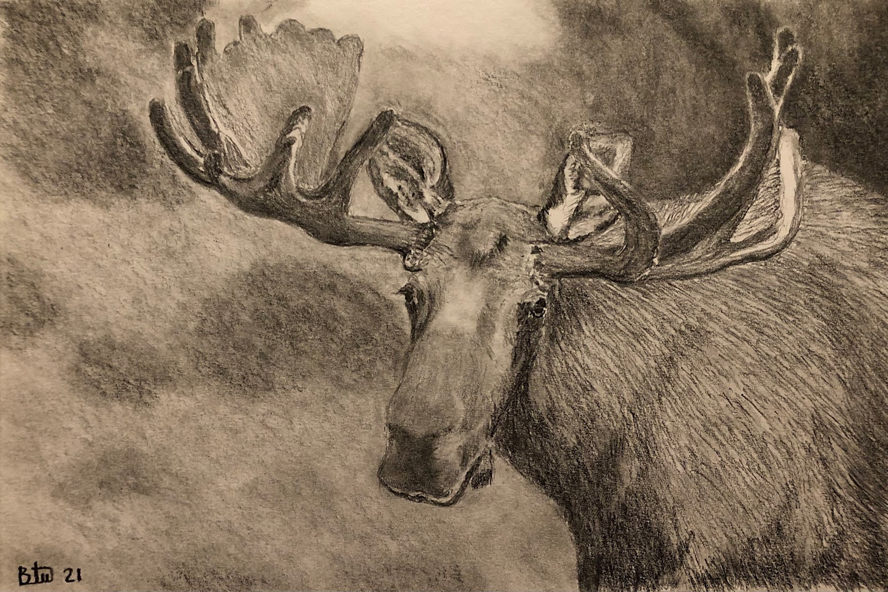 Animals – Bruce Weis – Artist